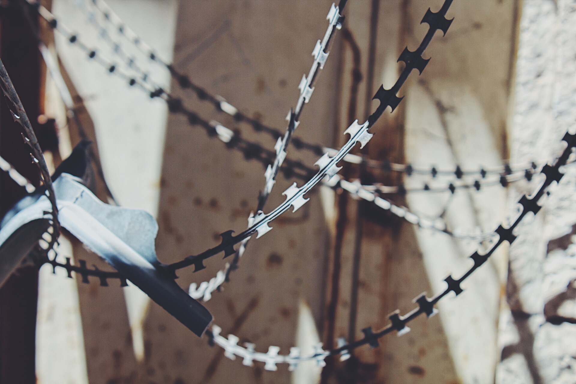 Palestinian-Israeli Conflict – Churches for Middle East Peace